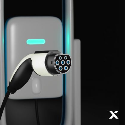 Basics Project - Arexa